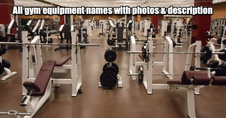 List of Gym Equipment Names: 55 Gym Machine Types & Pictures